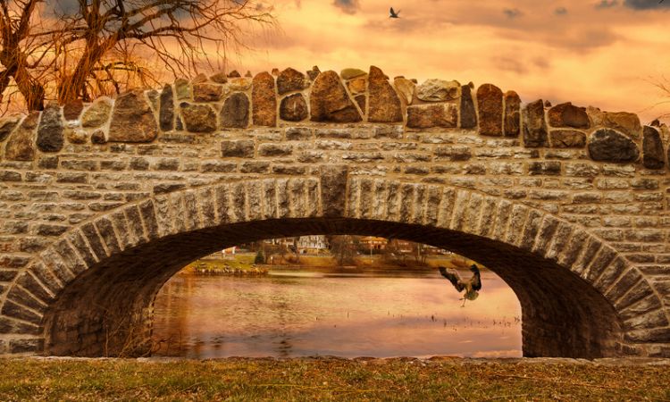 Southern Tier Region - SNAP-Ed New York